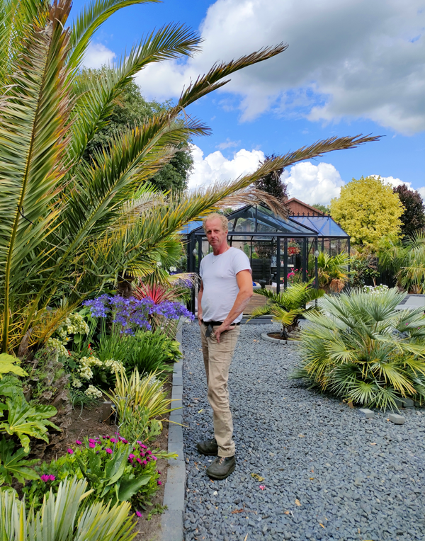 Help jouw palmen de winter door | Gerrits Tuinmeubelen